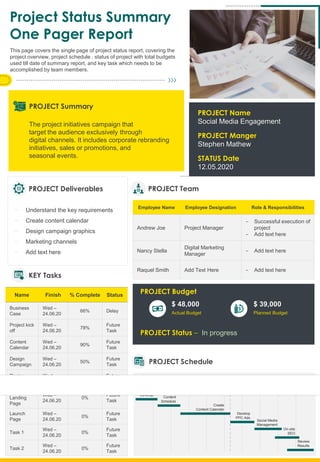 Project Status Summary One Pager Report Presentation Report Infographic ...