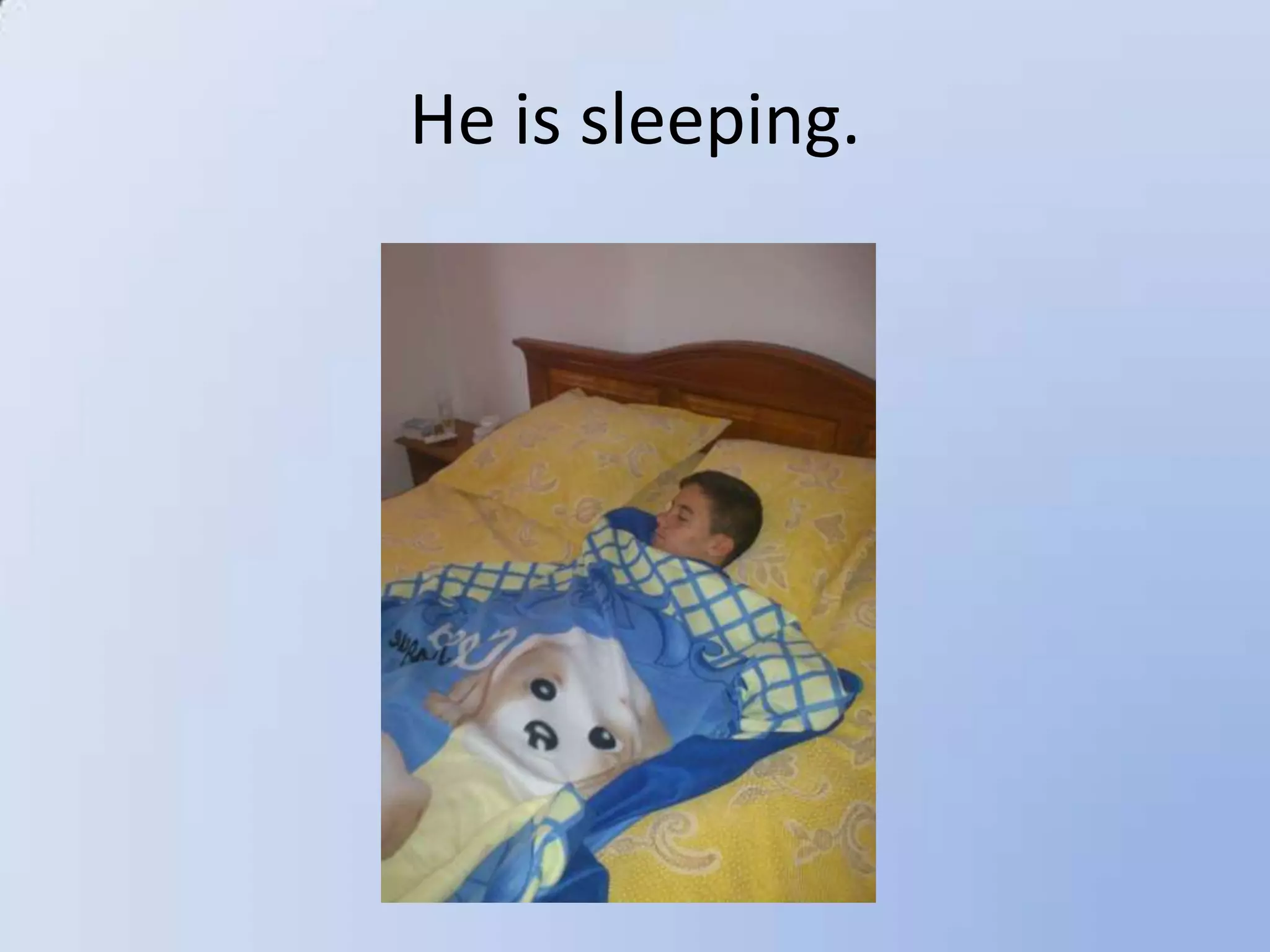 Project stefi v | PPTX