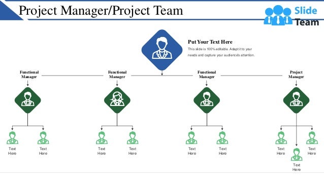 Project Structure Powerpoint Presentation Slides | PDF