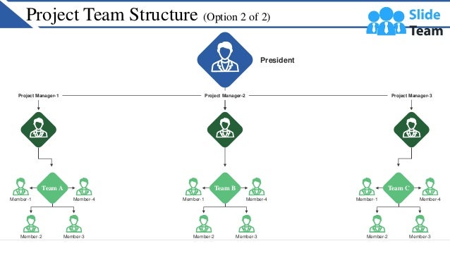 Project Structure Powerpoint Presentation Slides | PDF