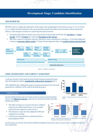 Project summary schizophrenia | PDF