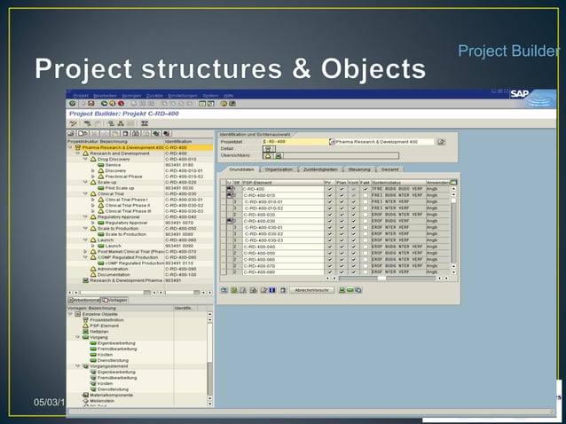 Project system overview | PPT | Business | Business and Finance