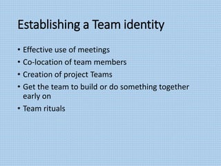 Project team pitfalls | PPTX