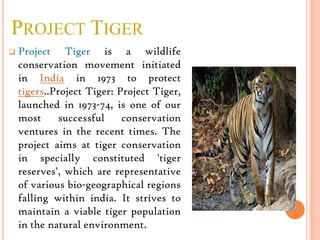 Project tiger