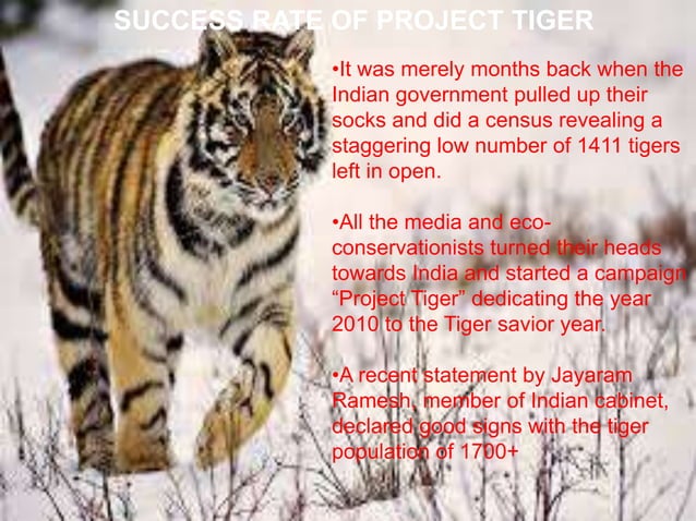 Project Tiger | PPTX
