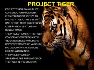 Project Tiger | PPTX