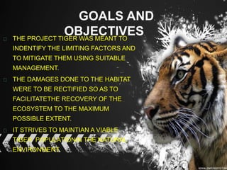 Project Tiger | PPTX