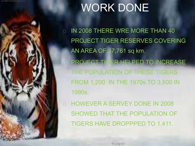Project Tiger | PPTX