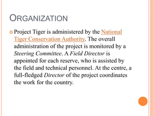 Project tiger | PPT