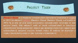 Project tiger | PPTX