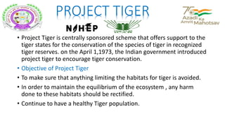 project tiger.pptx