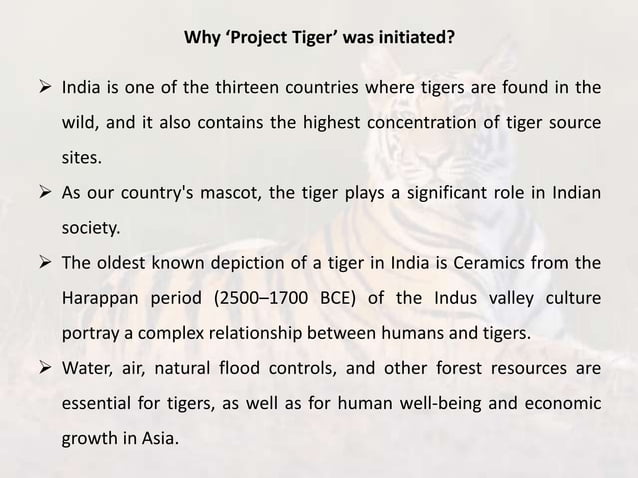 Conservation of Tigers in India: Project Tiger | PPTX | Large Animals | Pets
