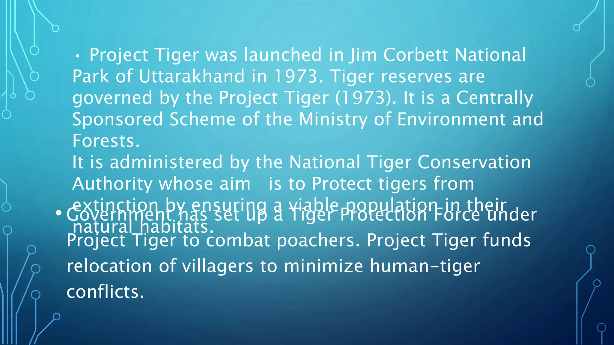 Project Tiger - a project of Indian government | PPTX
