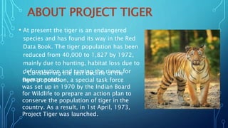 Project Tiger - a project of Indian government | PPTX
