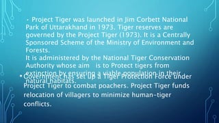 Project Tiger - a project of Indian government | PPTX