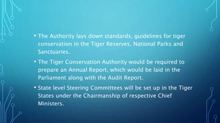 Project Tiger - a project of Indian government | PPTX