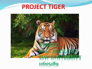 Project tiger | PPTX
