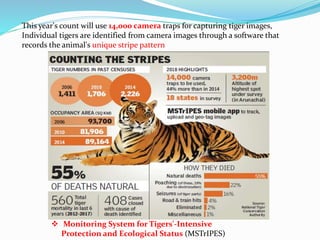 Project tiger | PPTX