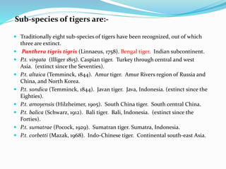 Project tiger | PPTX