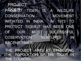 PPT on PROJECT TIGER | PPTX | Large Animals | Pets