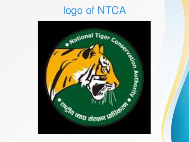Ti India Logo