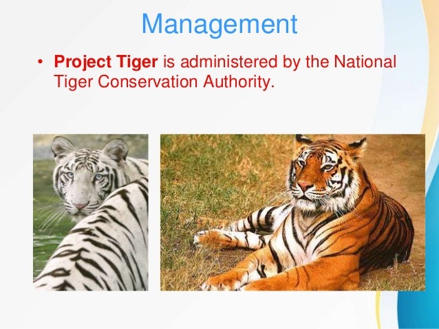 PPT on PROJECT TIGER