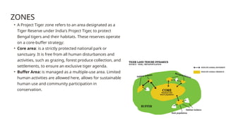 Project Tiger And Biosphere Reserves.pptx