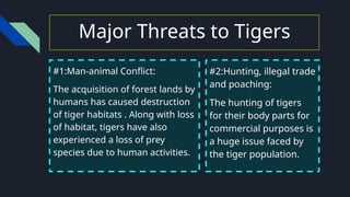 Project Tiger & Project Elephant (1) 1.pptx