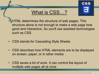 project web development | PPT