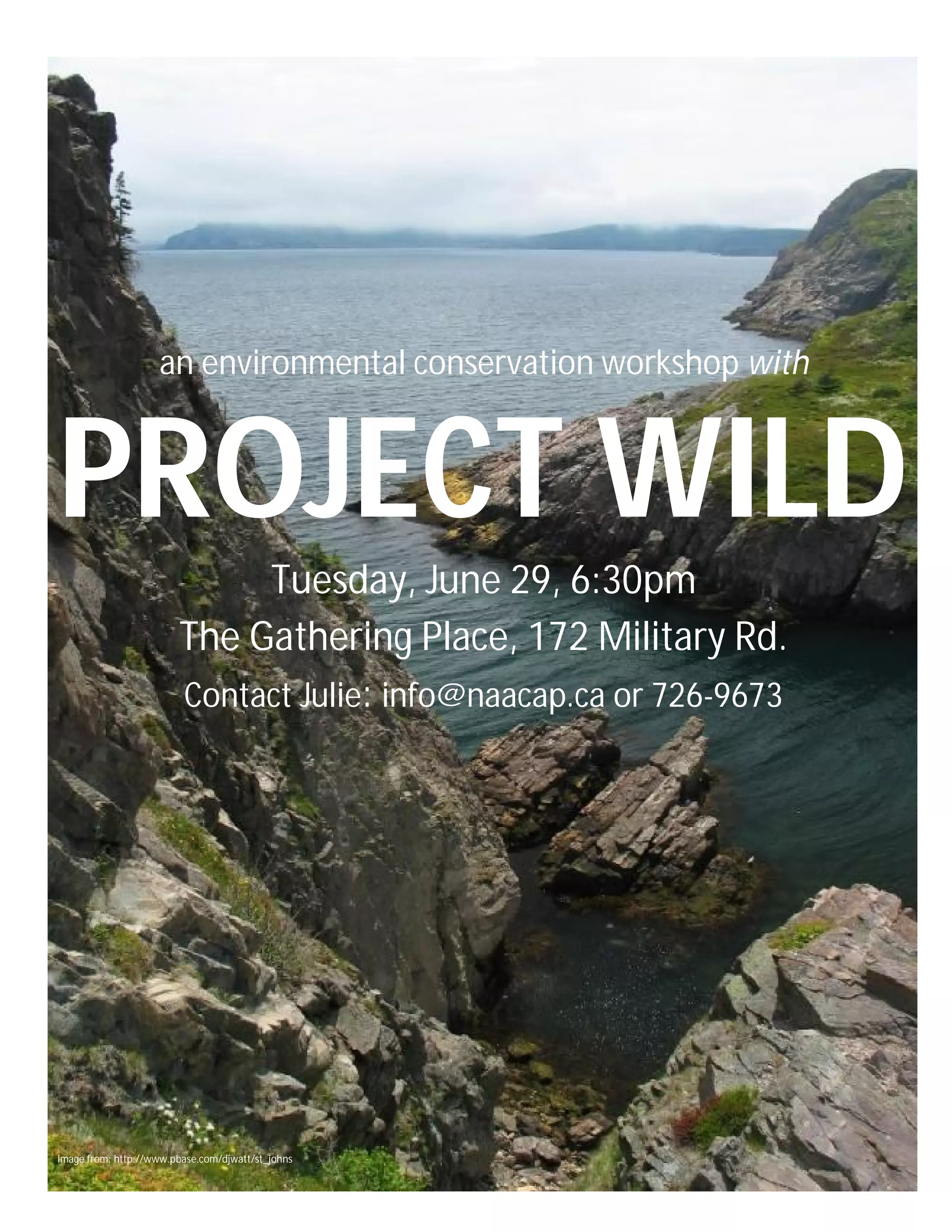 Project Wild Poster | PDF