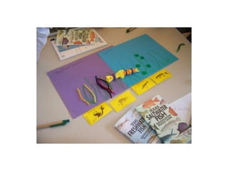 Project Wild Workshop | PPTX