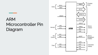 Project Wireframes (1) (3).pptx