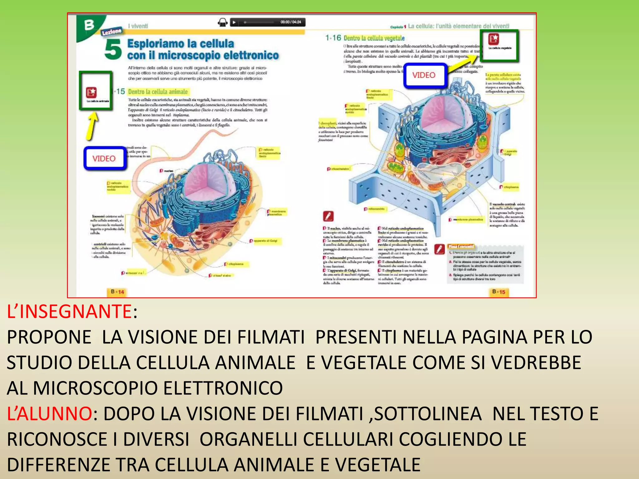 Project work: LA CELLULA | PPTX