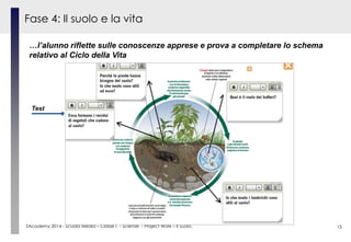 Projectwork il-suolo | PPT