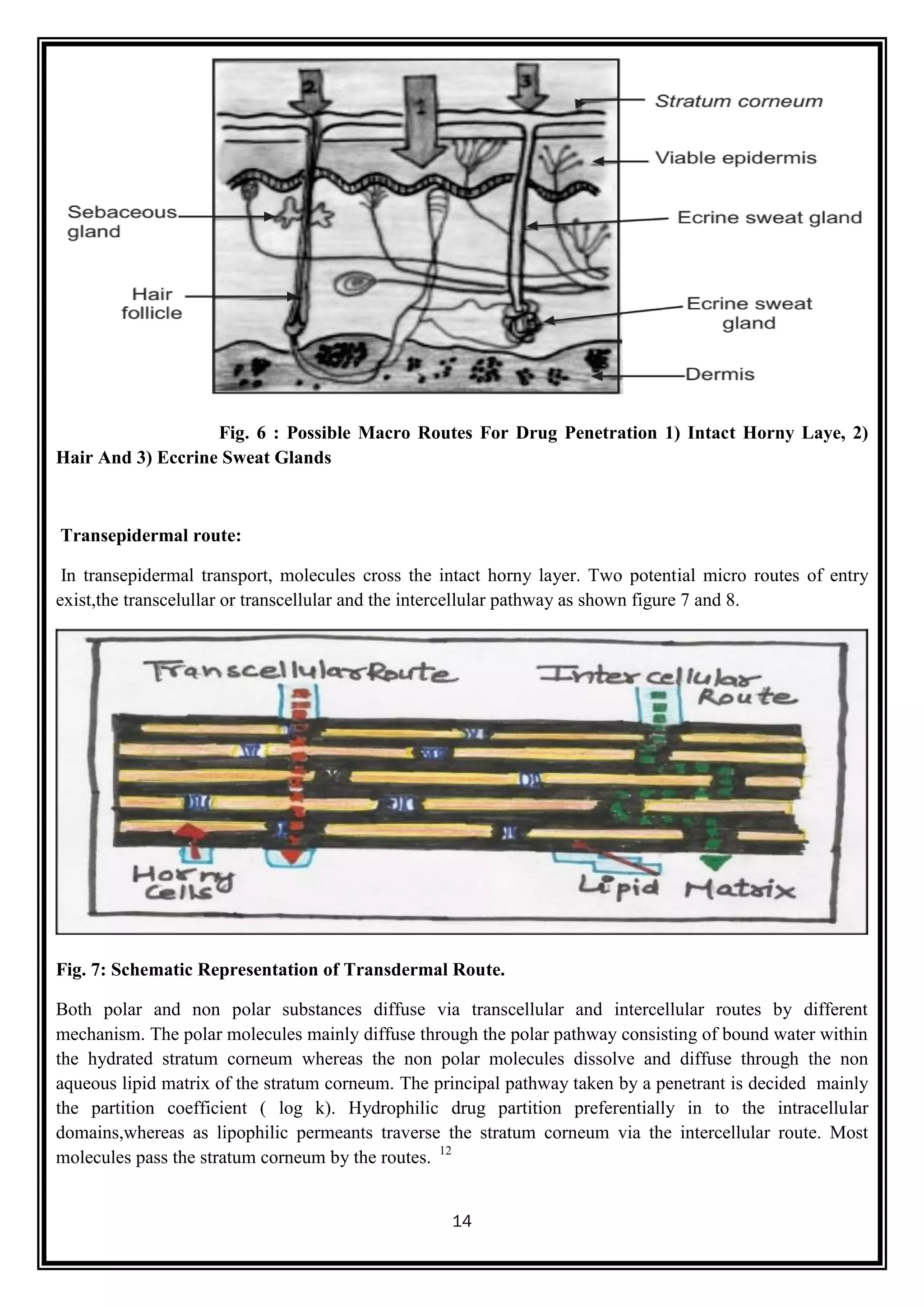 project work 8 april.pdf
