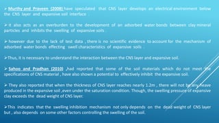 PROJECT WORK( CNS LAYER)-1.pptx