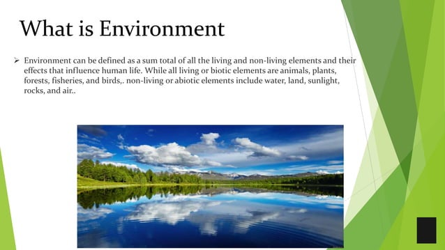 SAVE OUR EARTH | PPT