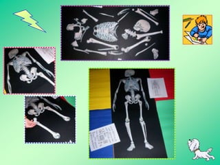 Project work scheletro | PPT