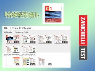 Project work scheletro | PPT