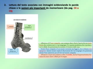 Project work scheletro | PPT