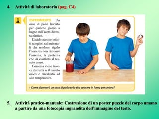 Project work scheletro | PPT