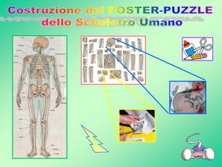 Project work scheletro | PPT