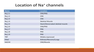 Sodium Ion Channel | PPTX | Chemistry | Science