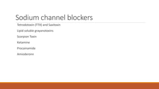 Sodium Ion Channel | PPTX | Chemistry | Science