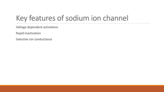 Sodium Ion Channel | PPTX | Chemistry | Science