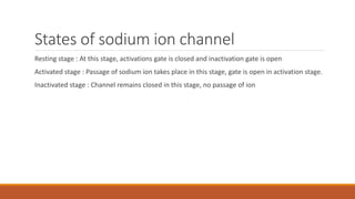 Sodium Ion Channel | PPTX | Chemistry | Science