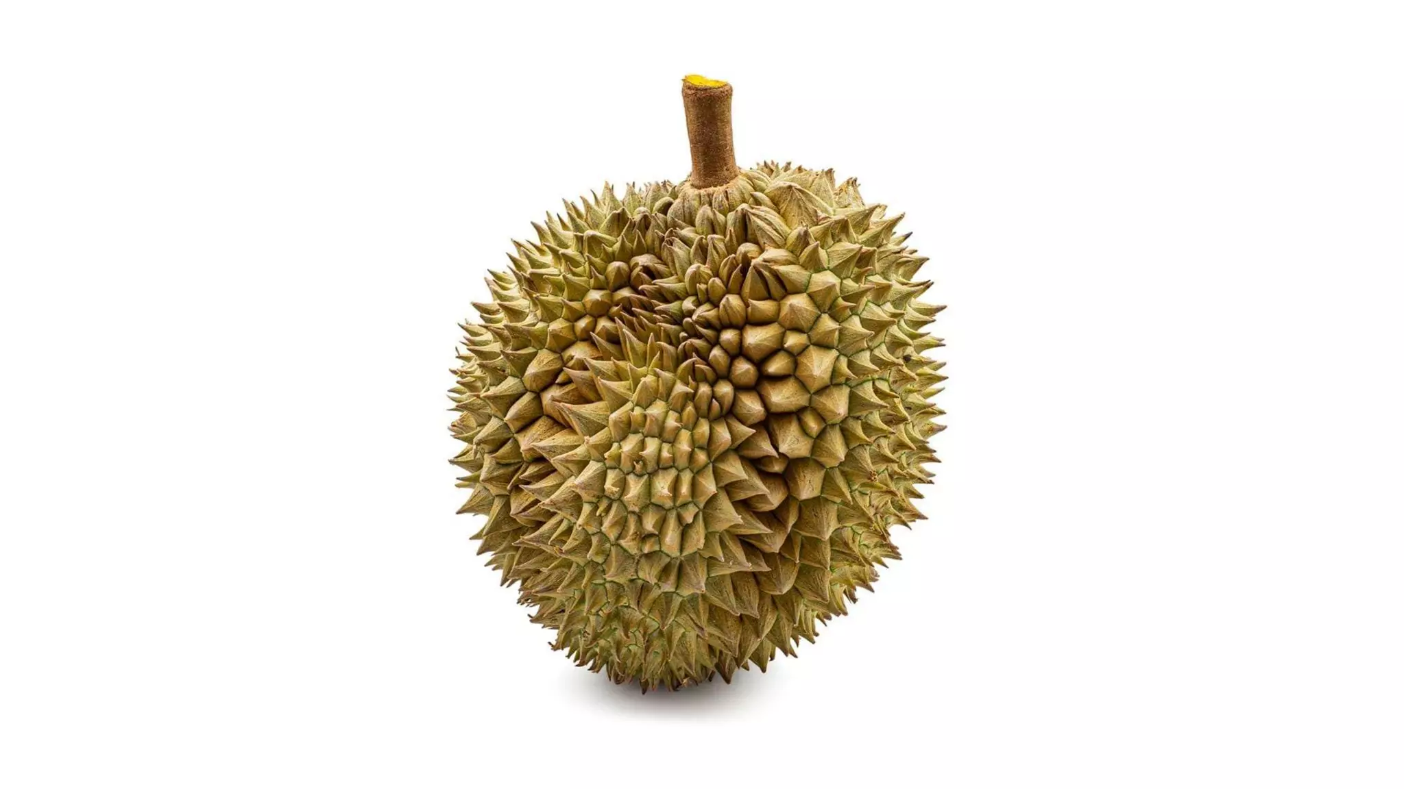 LMCP 1602 PROJEK AKHIR YAU ZHAO HONG A171673 | PPT