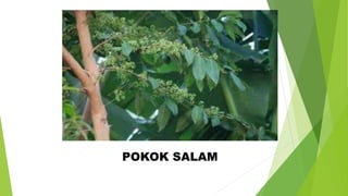 Projek akhir pokok | PPTX