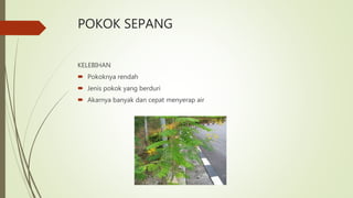 Projek akhir pokok berkhasiat | PPT