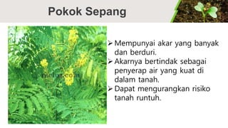 PROJEK AKHIR POKOK BERKHASIAT DAN MENGUKUHKAN JALAN RAYA | PPTX